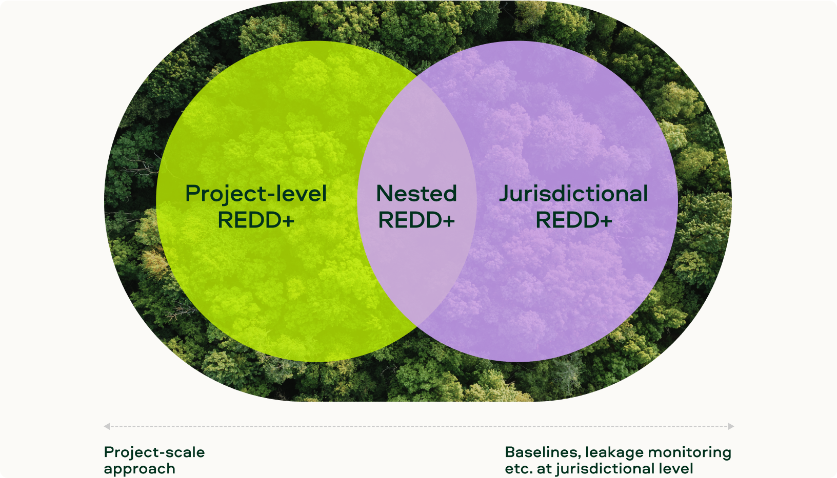 Our comprehensive guide to Jurisdictional REDD+ explores the key ... Our comprehensive guide to Jurisdictional REDD+ explores the key ...